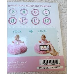 Stepping Stones | Accessories | New Stepping Stones Babys First Year ...